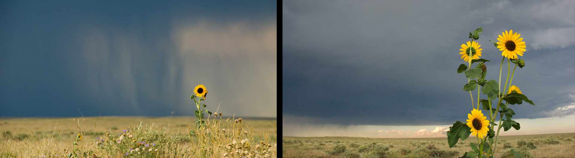 Photo Composition Lens Choice Light And Matter