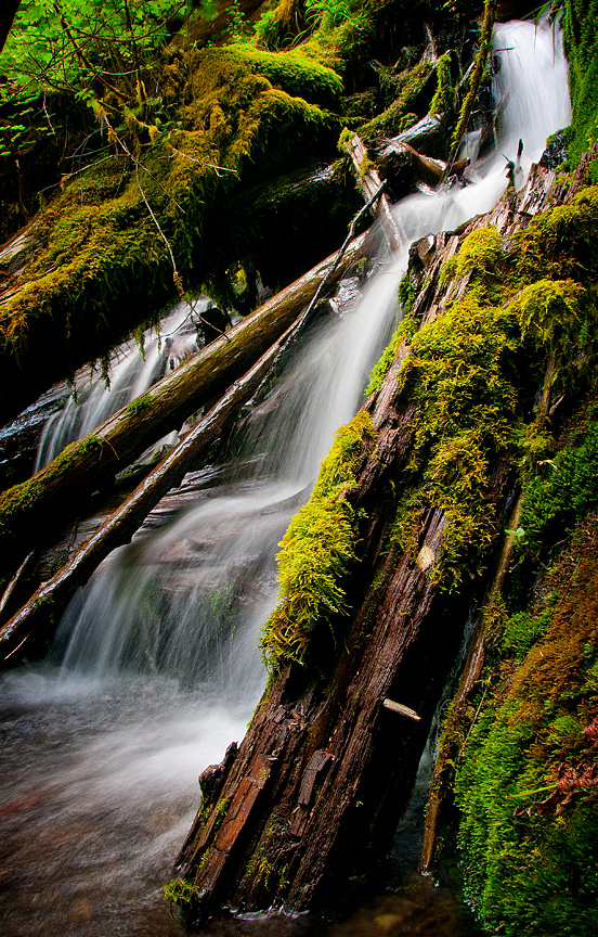 The Olympic Peninsula and Oregon Coast - Light And Matter