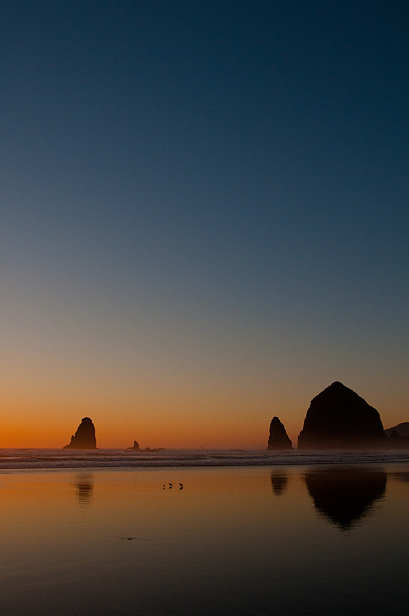 The Olympic Peninsula and Oregon Coast - Light And Matter