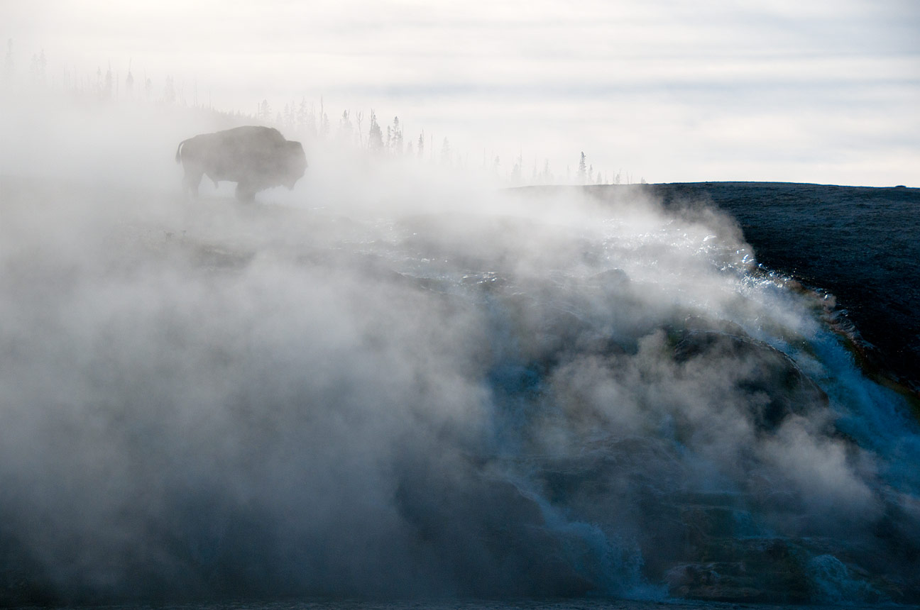 Photography in Yellowstone National Park - Light And Matter