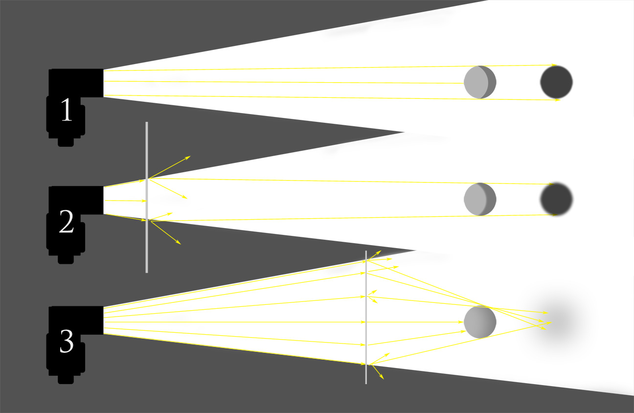 Beginning Orchid Photography: How to Get the Best Results | B&H Explora