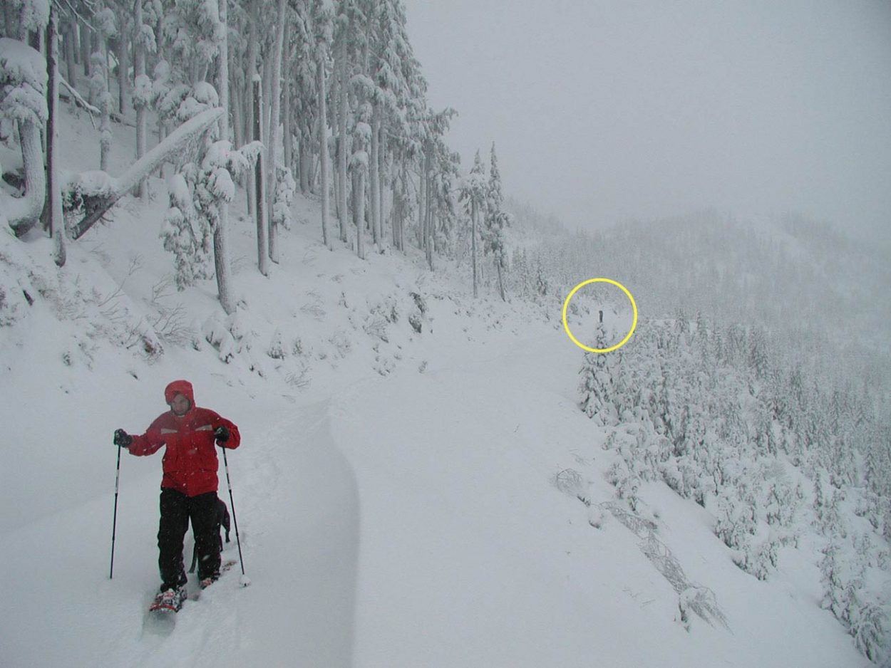 Understanding Your Histogram : Part 4 - Situational Specifics - Light ...