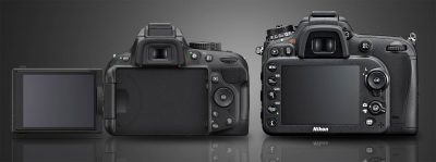 Nikon D5200 vs D7100 : Which Should You Buy? - Light And Matter