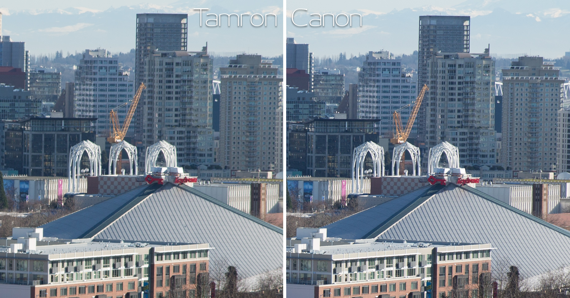 Lens Comparison Canon EF 24 70 F 2 8L II Vs Tamron 24 70 F 2 8 VC Lens Comparison Canon EF 24 70 F 2 8L II Vs Tamron 24 70 F 2 8 VC
