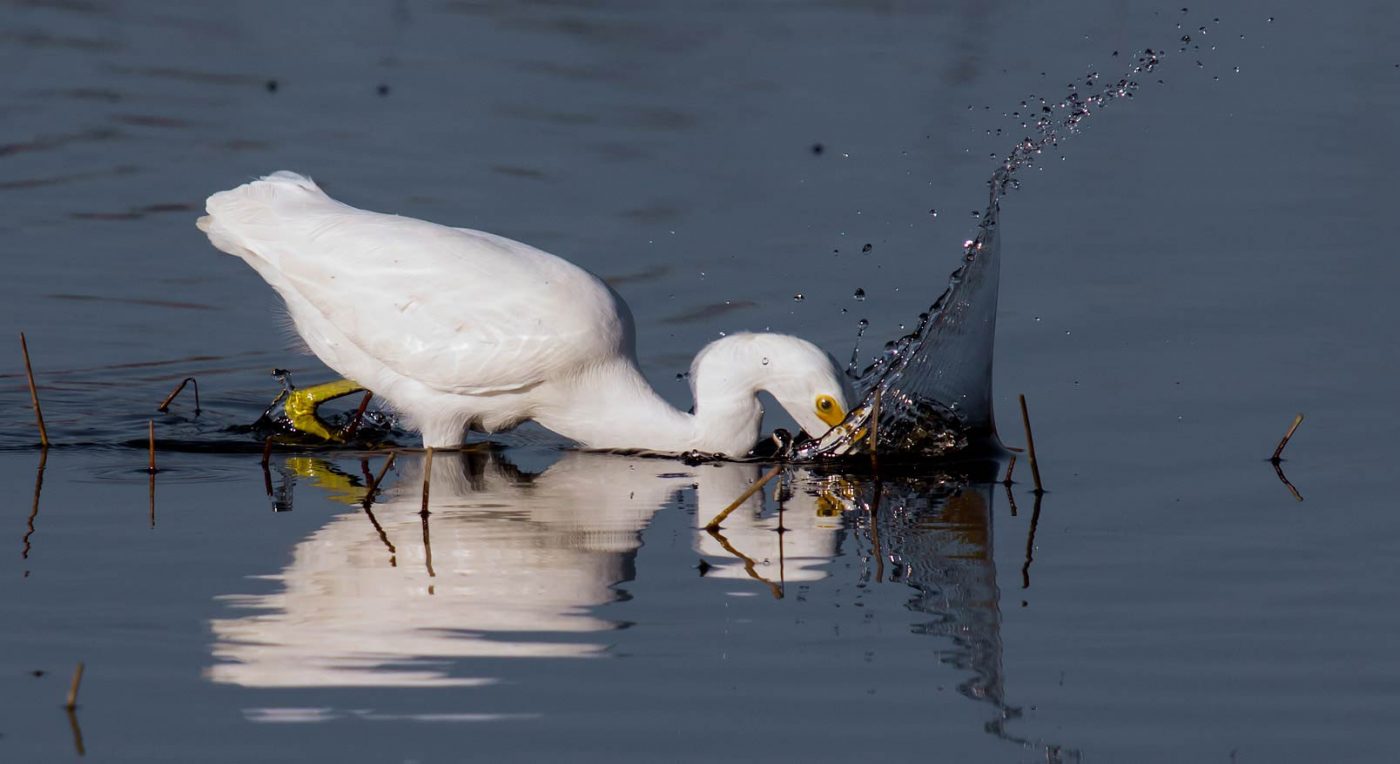 Four Reasons Your Photos are Blurry, And How to Avoid Them - Light And ...