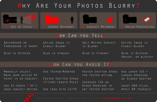 Four Reasons Your Photos are Blurry, And How to Avoid Them - Light And ...