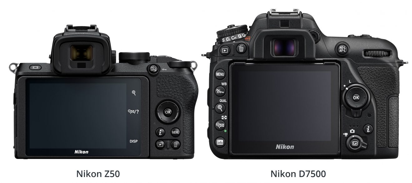 Nikon Z50 vs D7500: Should You Buy a DSLR or Go Mirrorless? - Light And ...