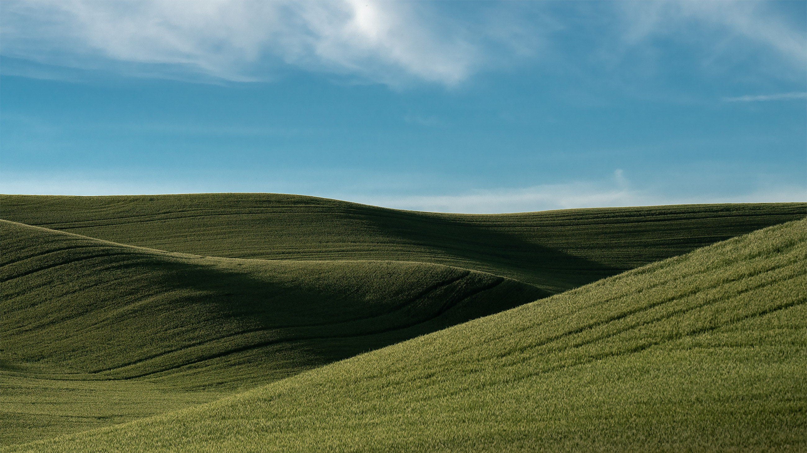 A Quick Trip to the Palouse - Light And Matter