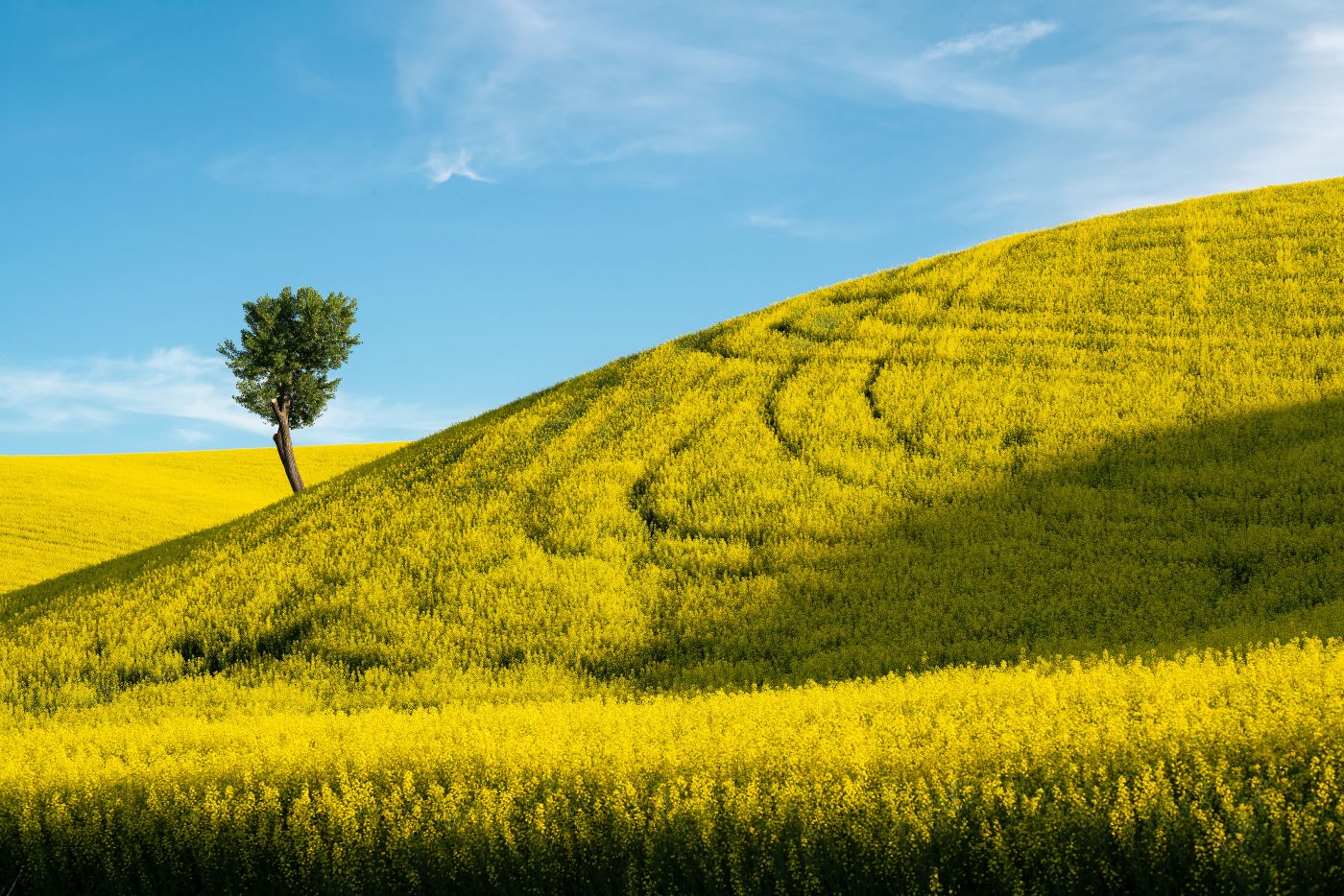 A Quick Trip to the Palouse - Light And Matter