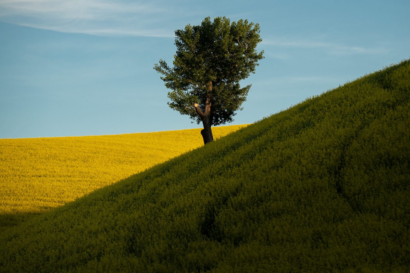 A Quick Trip to the Palouse - Light And Matter