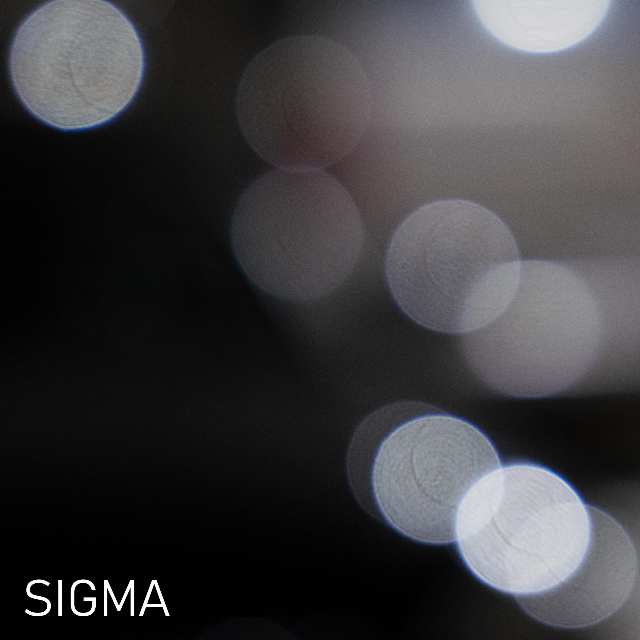 Sigma 24-70 f/2.8 ART vs Tamron 28-75 for Sony - Light And Matter