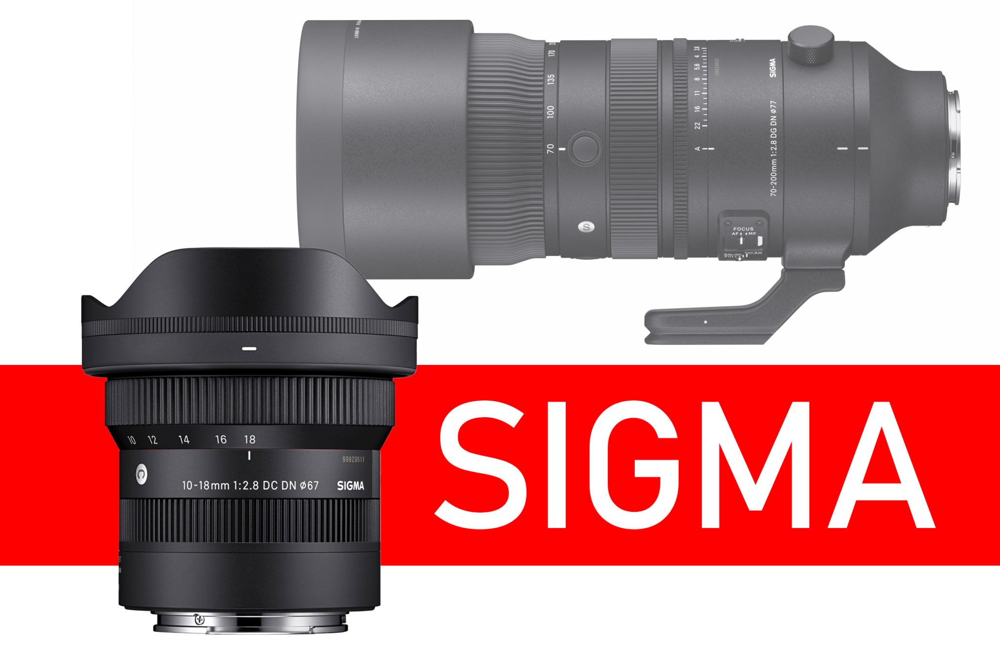 Sigma 100-400mm or 150-600mm: Which Should You Buy? - Light And Matter